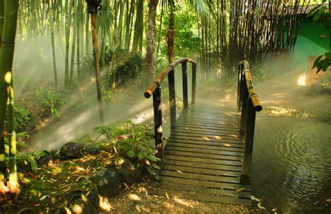 Free Hd Bamboo Wallpapers Pixelstalk Net