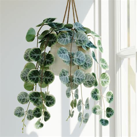 David Mansch 3d Arch Viz