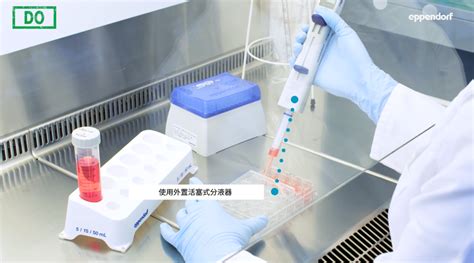 细胞培养和传代 Eppendorf