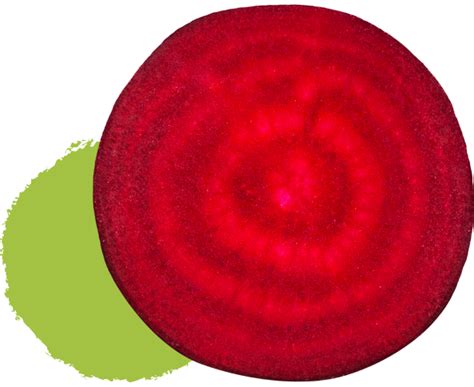 Wir Sind Eisberg Österreich