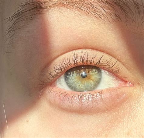 Green Eye Sunlight In 2025 Aesthetic Eyes Beautiful Eyes Color