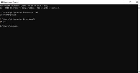 Windows Server 2019 Desktop Path For All Users Redirected To System32