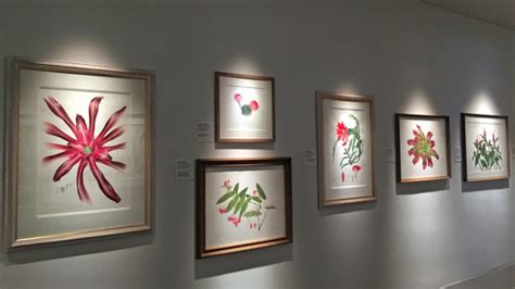 Latin American Exhibit In Modern Masterpieces Of Botanical Art At Kew