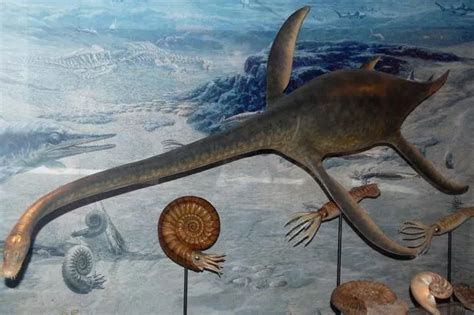 Rare Fossil Of 180 Million Year Old Sea Monster Reveals Secrets Of