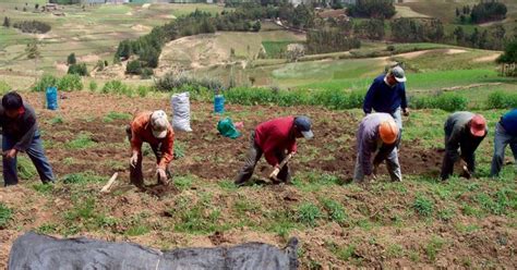 Un Acuerdo Histórico Gobierno Y Fedegán Pactan La Compra De 3
