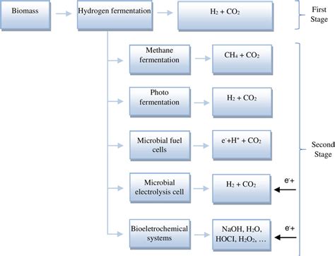 Two‐stage Biohydrogen Production Process Adapted From Ref 28