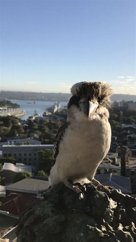 Pictures Of Lexy Murphy