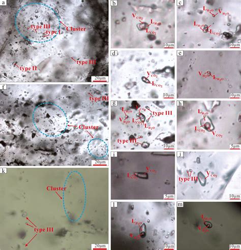 Photomicrographs Of Various Types Of Fluid Inclusions In The Liyuan