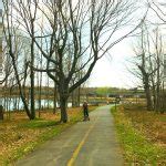 How To Identify Tree Defects And What To Do About It Purdue Extension Forestry Natural