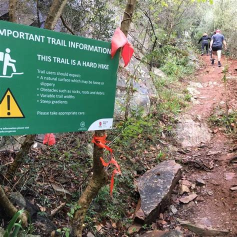 Dangers On New Mt Lofty Walking Trail Abc Listen
