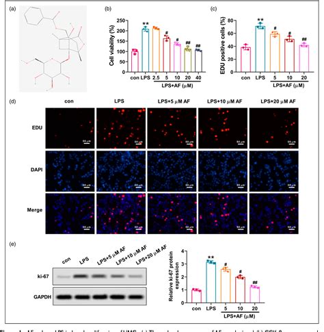 Figure 1 From Albiflorin Ameliorates Mesangial Proliferative