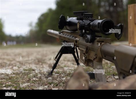 M110 Semi Automatic Sniper System