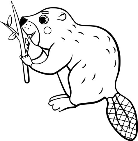 Beaver Printable Coloring Page Download Print Or Color Online For Free