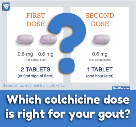 Which Colchicine Dose For Your Gout Photo Goutpal Gout Help