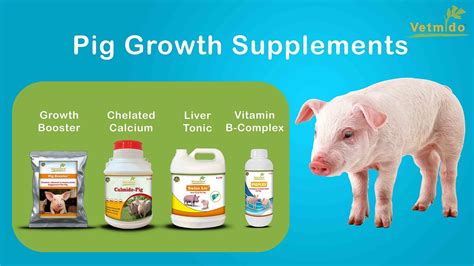 Mini Pig Vitamins At Jill Deleon Blog