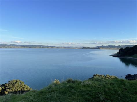 Duder Dude Auckland Trails Photo Gallery Wild Things