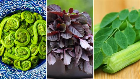 Saag For Summer 7 Leafy Greens That You Can Add To Your Dinner Table Food Times Now