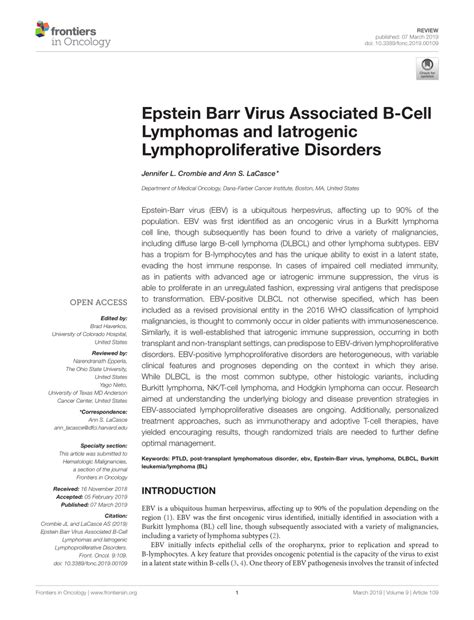 Pdf Epstein Barr Virus Associated B Cell Lymphomas And Iatrogenic Lymphoproliferative Disorders