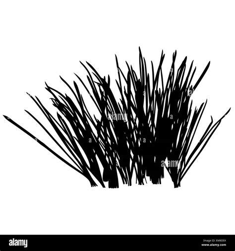 Leaf Silhouette Clipart Stock Vector Images Alamy