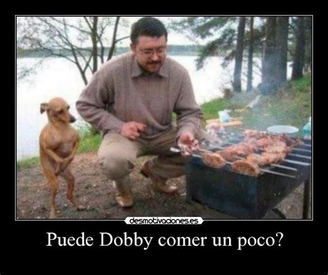 Puede Dobby Comer Un Poco Desmotivaciones