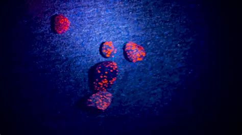 Going Overboard Bringing Yooperlite In From The Beach Scrolller