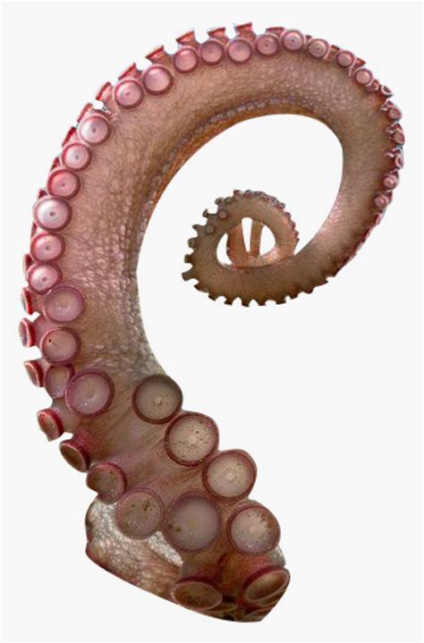 Octopus Deploy Tentacle Installing Tentacles Via Script Kkwr