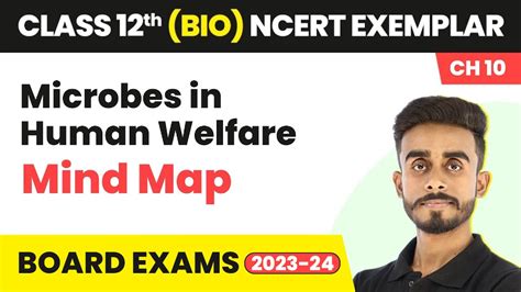 Microbes In Human Welfare Mind Map Class 12 Biology Ncert Exemplar