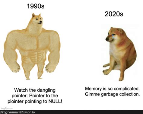 How Memory Management Evolved ProgrammerHumor Io