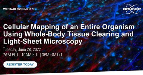 Dane Maxfield On Linkedin Lightsheet