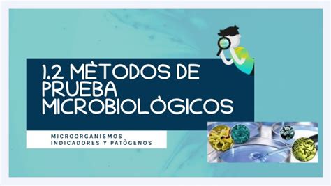 Pruebas MicrobiolÒgicas Genially
