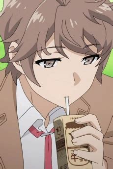 Sakuta Azusagawa Rascal Does Not Dream Of Bunny Girl Senpai Anibase Net