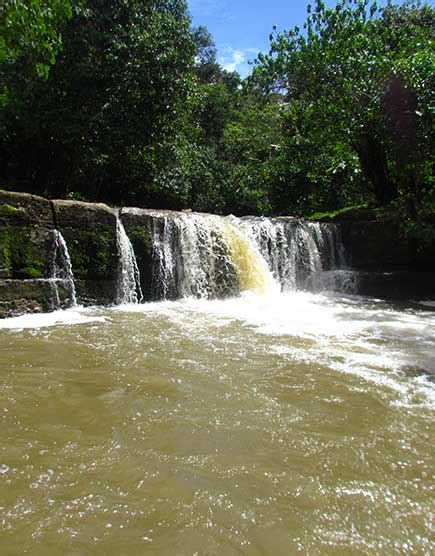 Sumaco Napo Galeras National Park Amazonia Selva Verde