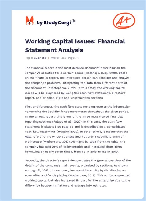 Working Capital Issues Financial Statement Analysis Free Essay Example