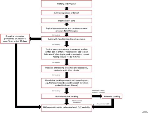 Epistaxis Clinical Care Pathway Download Scientific Diagram