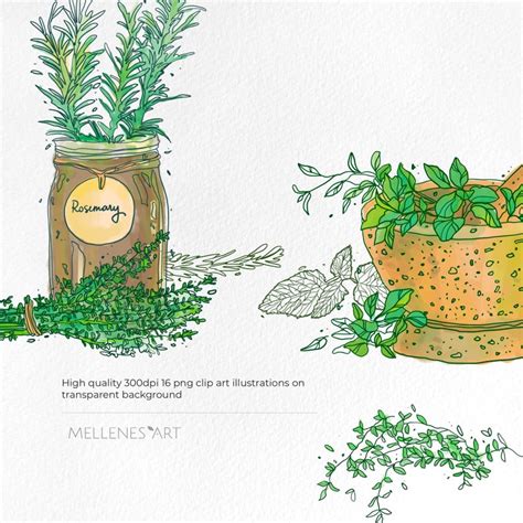 Herbs Clip Art Set Hand Drawn Doodle Greenery Clipart Bundle Plants
