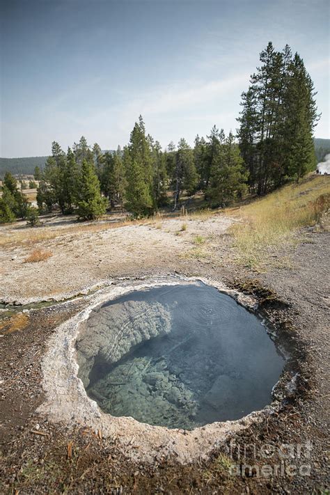 Mini Geyser Photograph By Emily Shimano Fine Art America
