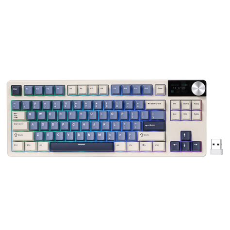 65 Keyboards A Comprehensive Guide For Gamers And Typists Rk Royal