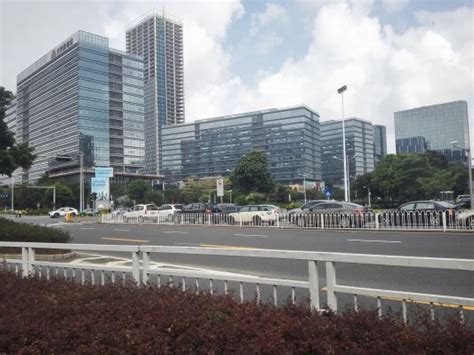 Longgang District（a District Under The Jurisdiction Of Shenzhen City