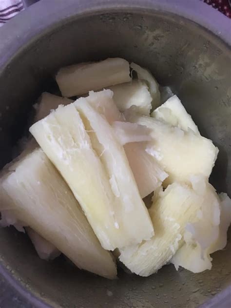 Fiji Food Pics Boiled Dalotaro Boiled Cassava With Facebook