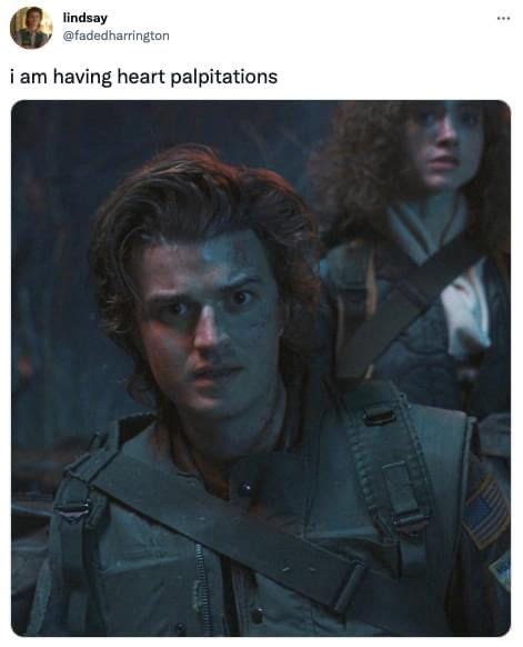 Pin On Stranger Things Stranger Things Steve Stranger Things Have Happened Stranger Things