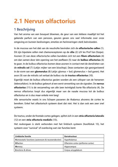 Neuroanatomie Les 2 Nervus Olfactorius 2 Nervus Olfactorius 1 Beschrijving Van Het Aroma Van