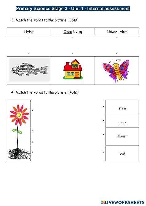 7192011 Stage 3 Science Unit 1 Practice Test Daniel