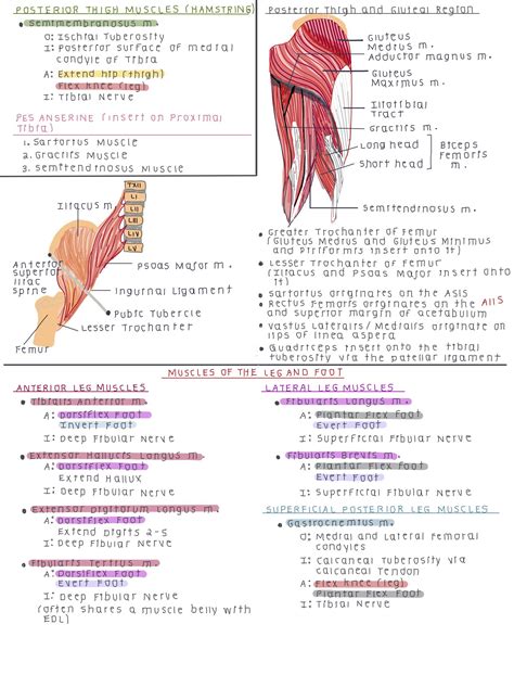 Recently Started Handwriting Notes Rather Than Typing Rhandwriting