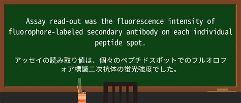【英単語】fluorescence Intensityを徹底解説！意味、使い方、例文、読み方 おもしろい英文法