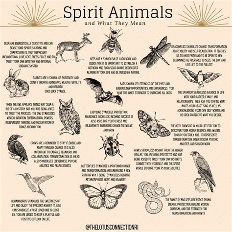 Spirit Animals And Their Meanings A Refrence Guide Animal Spirit