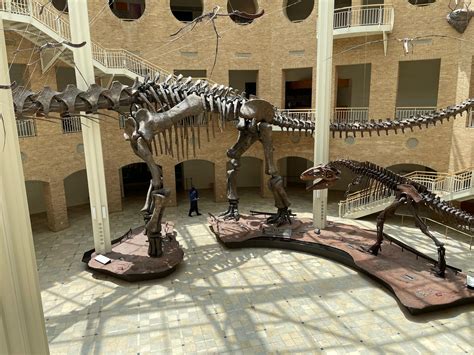 Giganotosaurus Versus Argentinosaurus Argentinosaurus Nests Were