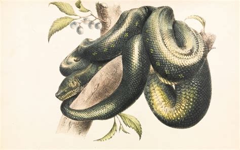 Norm Of A One Dimensional Tensor In Python Libraries