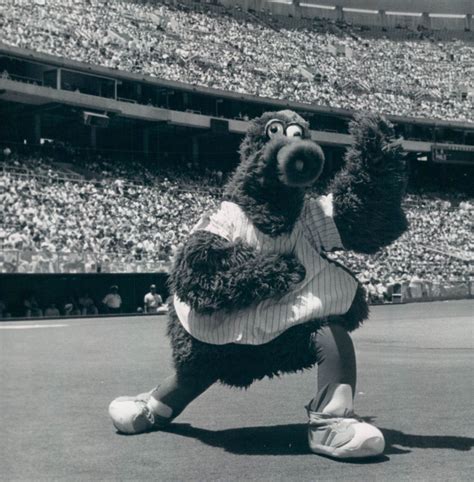 Phanatic Major League Baseball Major League Baseball Teams Baseball History
