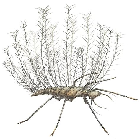 ‎es Profile • Letterboxd