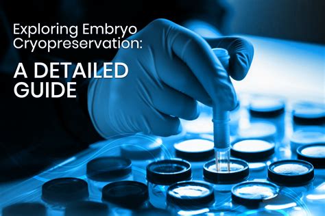 Exploring Embryo Cryopreservation A Detailed Guide Maia